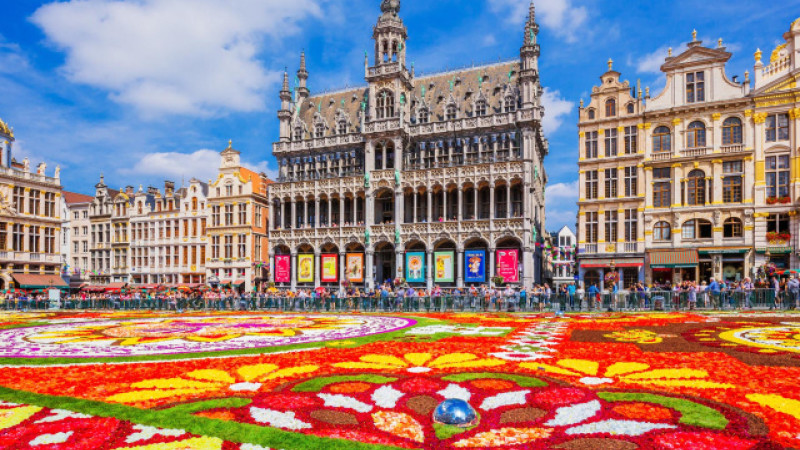 Trips and excursions for university students to Brussels 2026